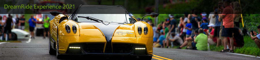 TE|EM – Team Elusive|Elusive Media