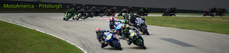 TE|EM – Team Elusive|Elusive Media