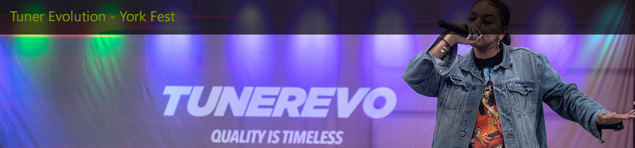 TE|EM – Team Elusive|Elusive Media